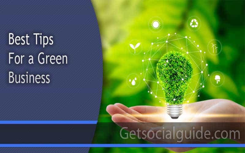 Best Tips for a Green Business - Busystreet Marketing